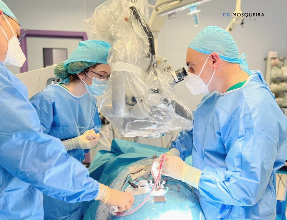 Artrosis y fibromialgia, dos patologías incapacitantes graves - Doctor ...